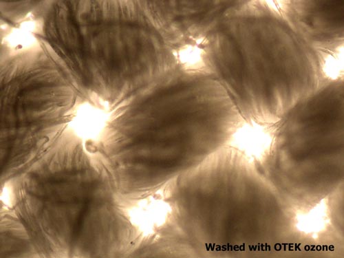 Ozone Explained – OtekCloud