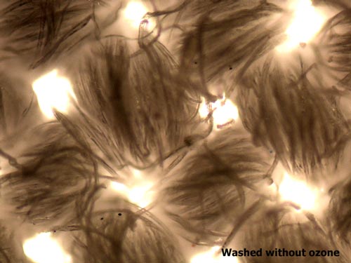 Ozone Explained – OtekCloud